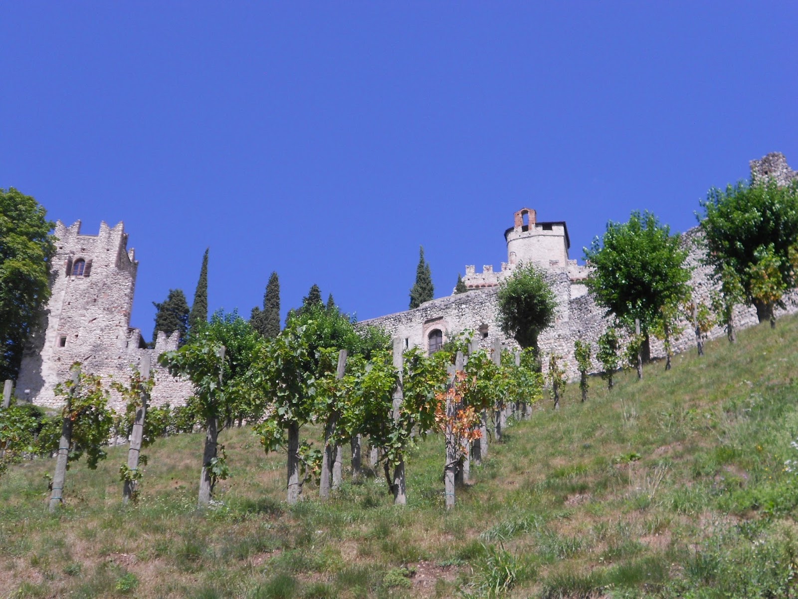 Vale il viaggio: Castello di Avio (Trentino)