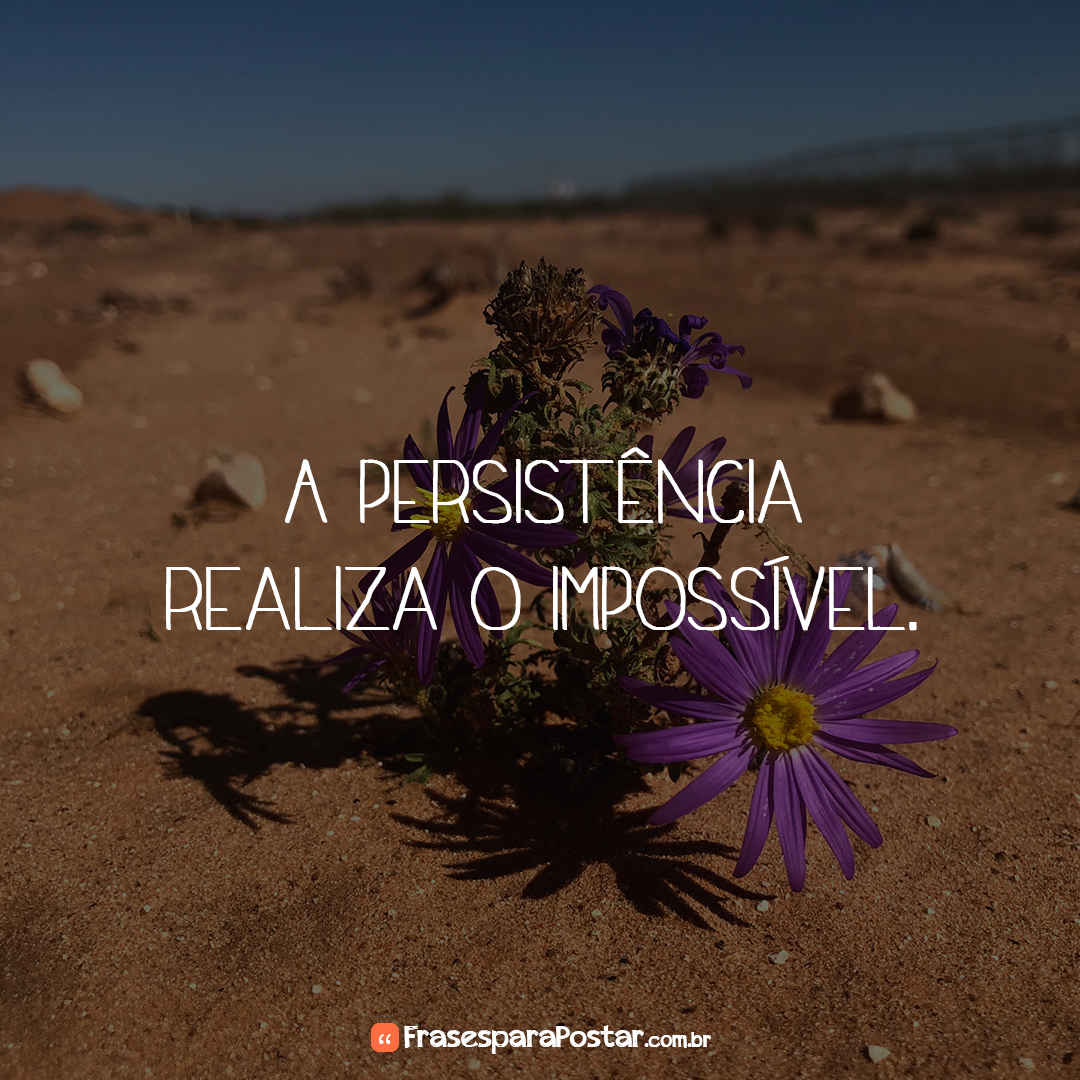 A persistência realiza o impossível - Frases para Postar - Frases e ... A persistência realiza o impossível - Frases para Postar - Frases e ...