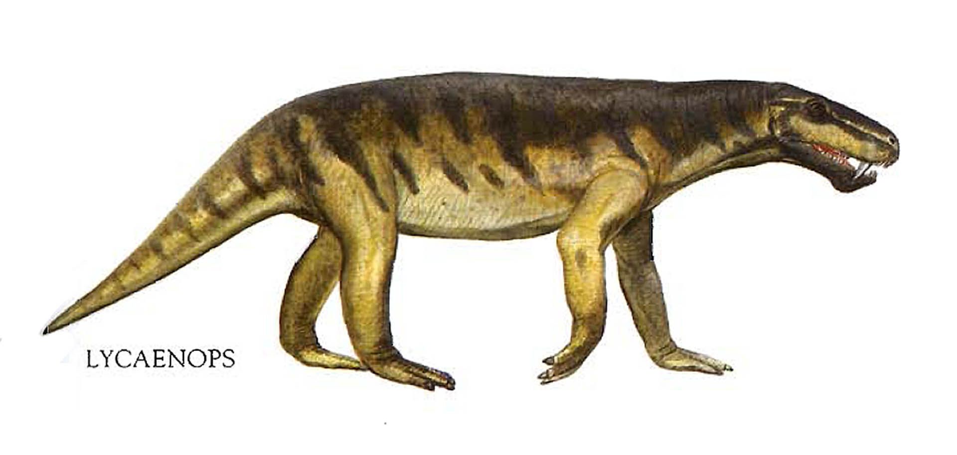 Bloguero chileno: febrero 2021