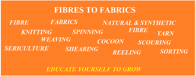 FIBRE TO FABRICS || Complete Notes || NCERT Based || CTET / TET Preparation