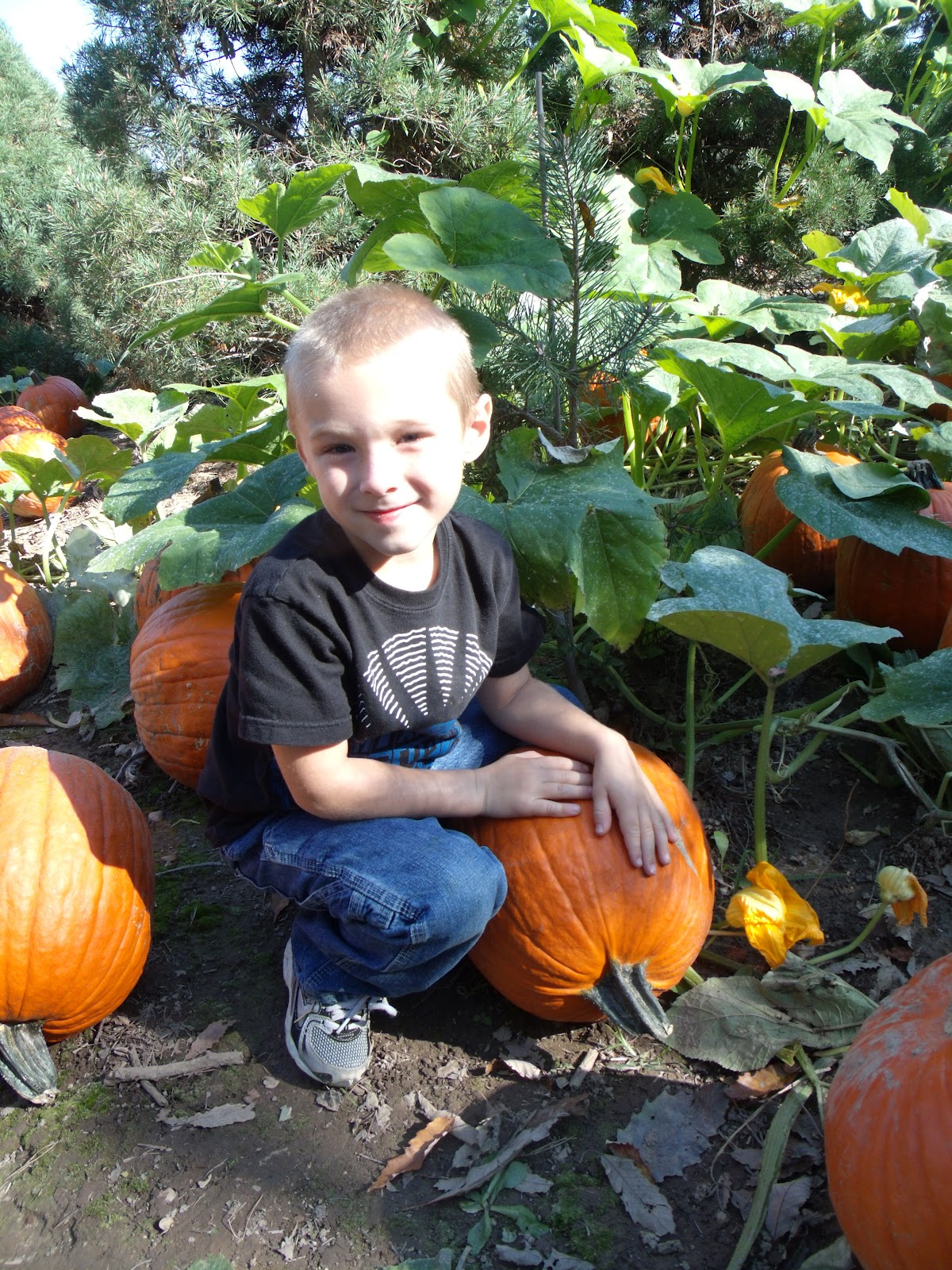 The Barnharts: Punkin Patch
