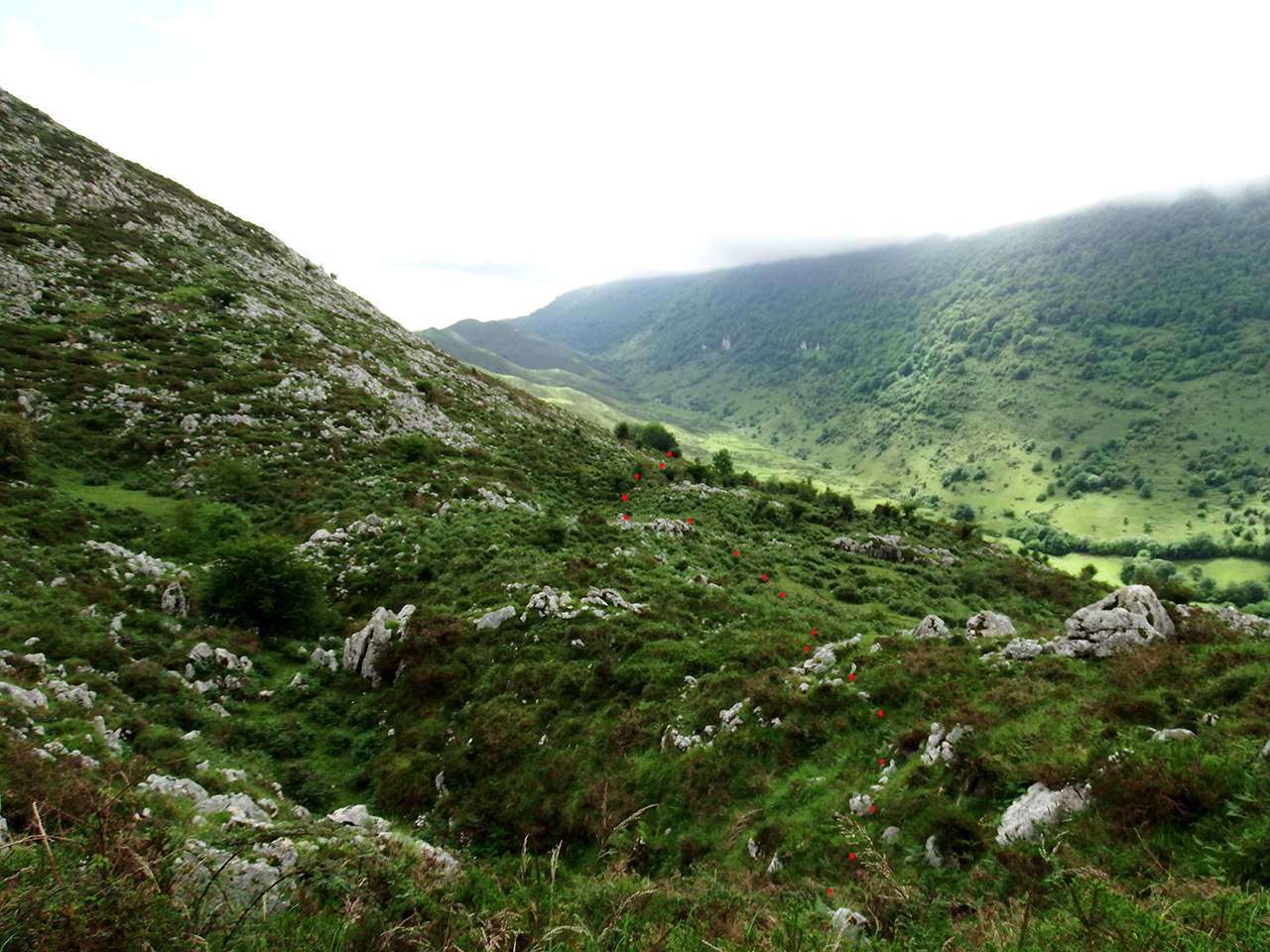 PICOS DE: LA VALLEYA Y LA GARMA