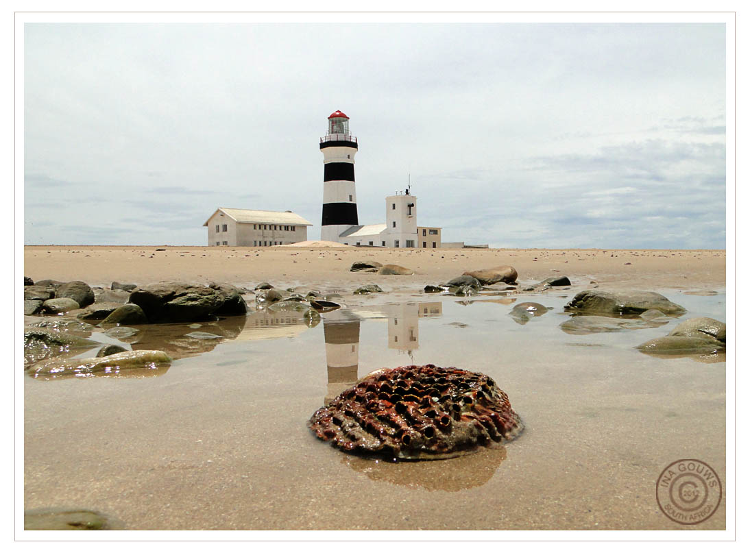Eastern Cape & Beyond: Cape Recife Lighthouse