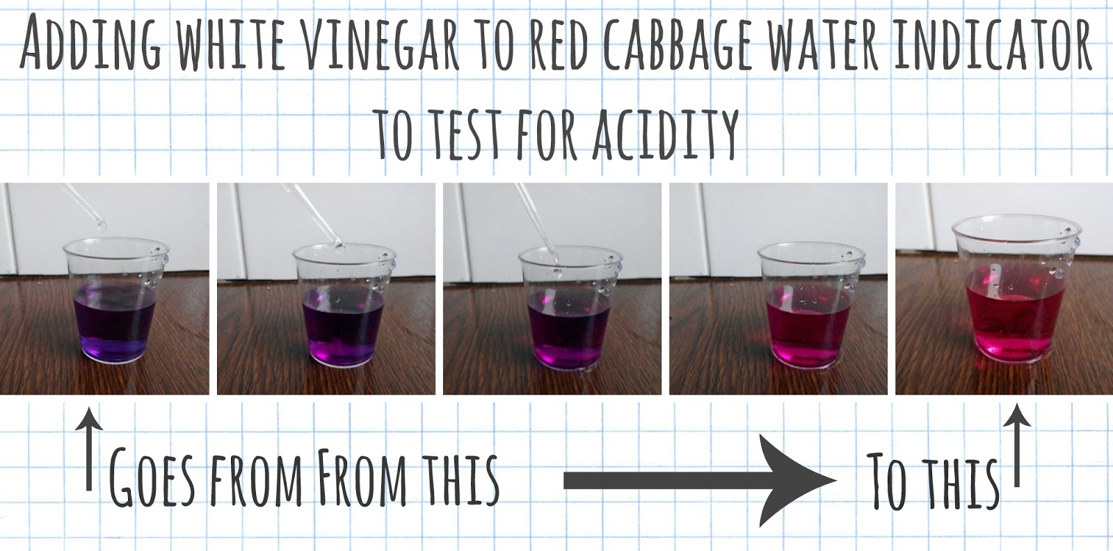 a muslim homeschool: Testing for Acids and Alkali with cabbage water ...