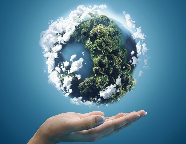 ECOLOGÍA GENERAL: Biósfera