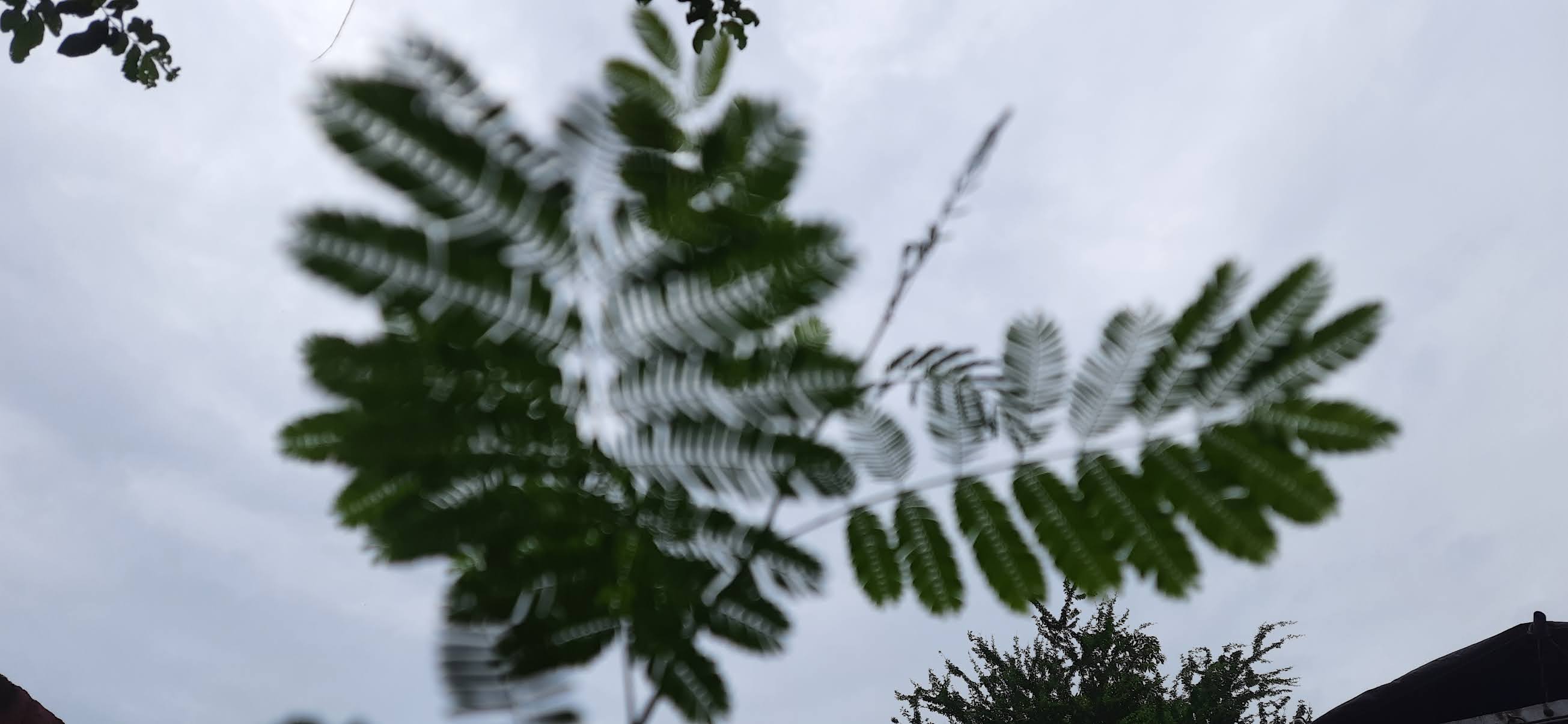 Sharad Pandhare's Educational Blog: Incredible Nature