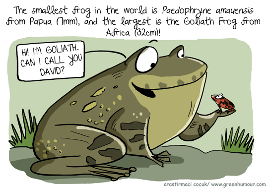 Green Humour: Frog life cycle