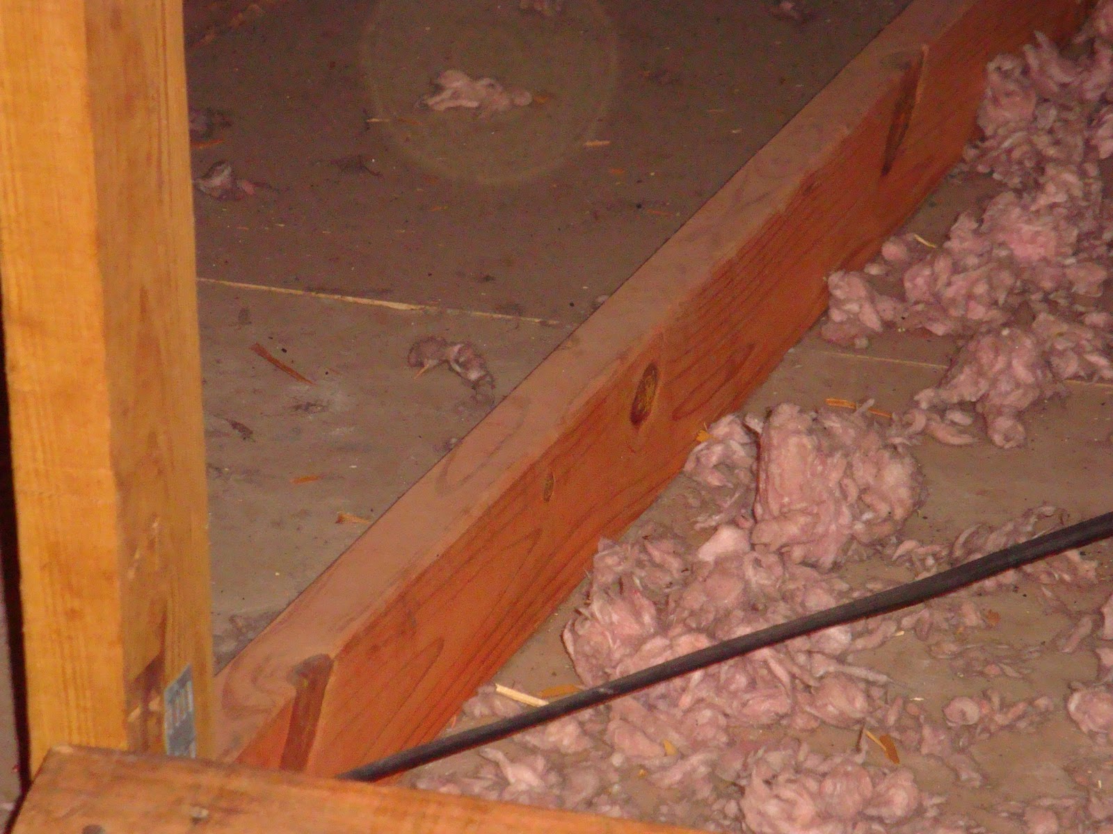 The Truth As I See It: Picture Time