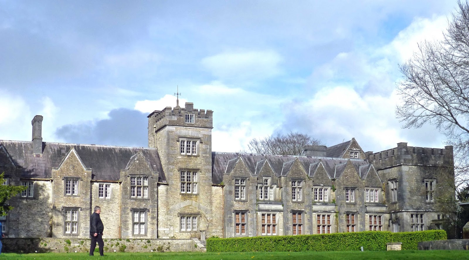 Where the white deer graze. A Walk in Mallow