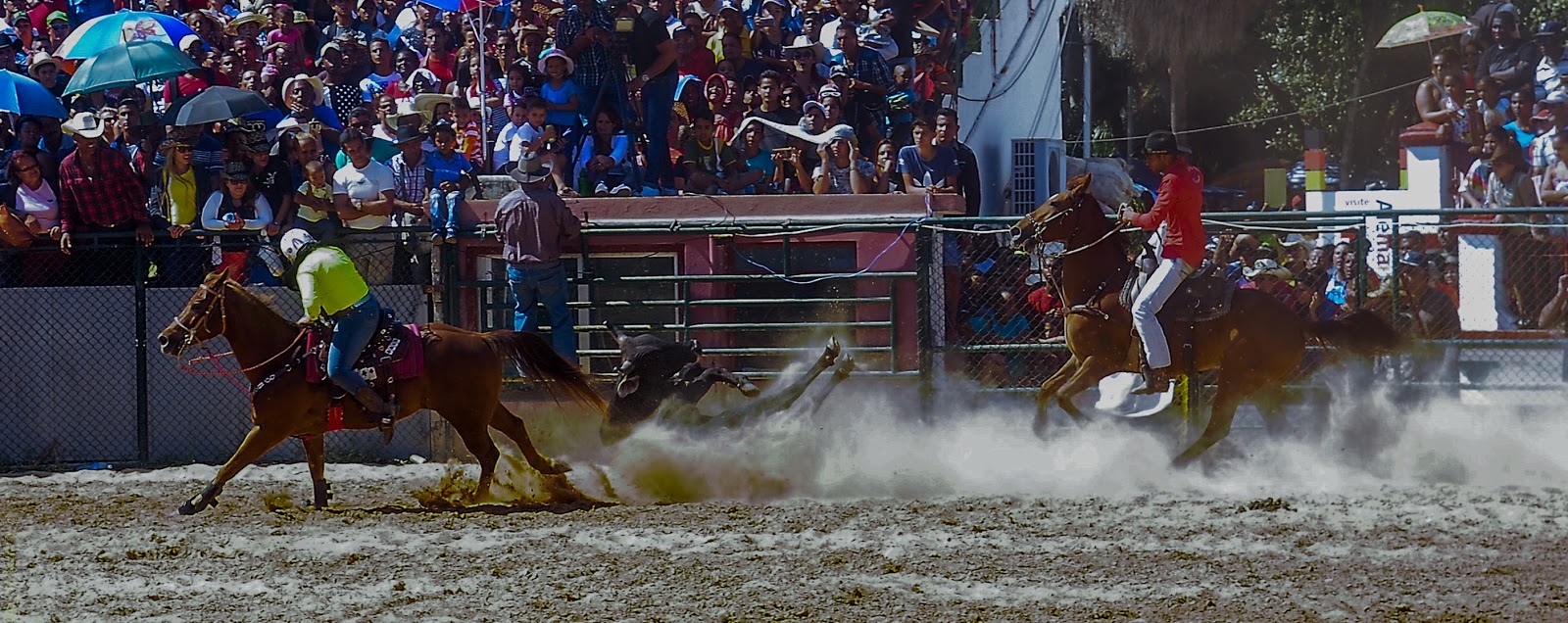 En el Colimador: ¿Rodeo cubano, espectáculo o deporte?