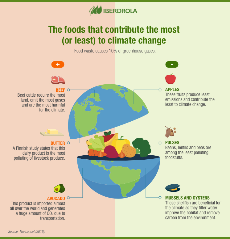 Progressive Charlestown: We must change what we eat to solve the ...