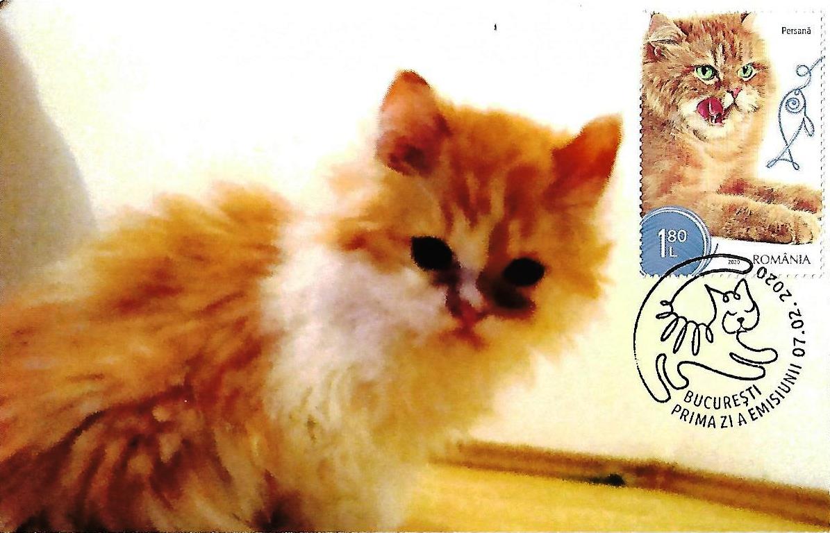 Ilustrate maxime - timbre, cărti poştale ilustrate, ştampile - Plicuri ...