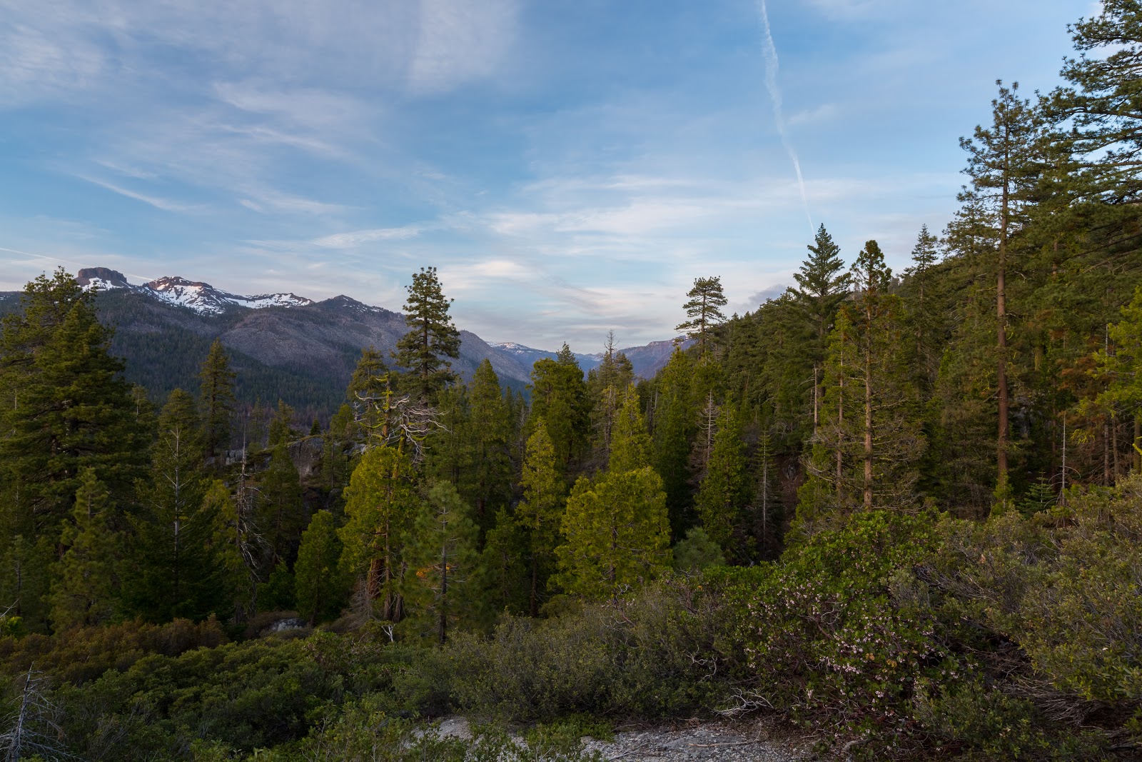 Naturetastic Blog: SR-108 & Donnell Vista (Part 4) - Stanislaus ...