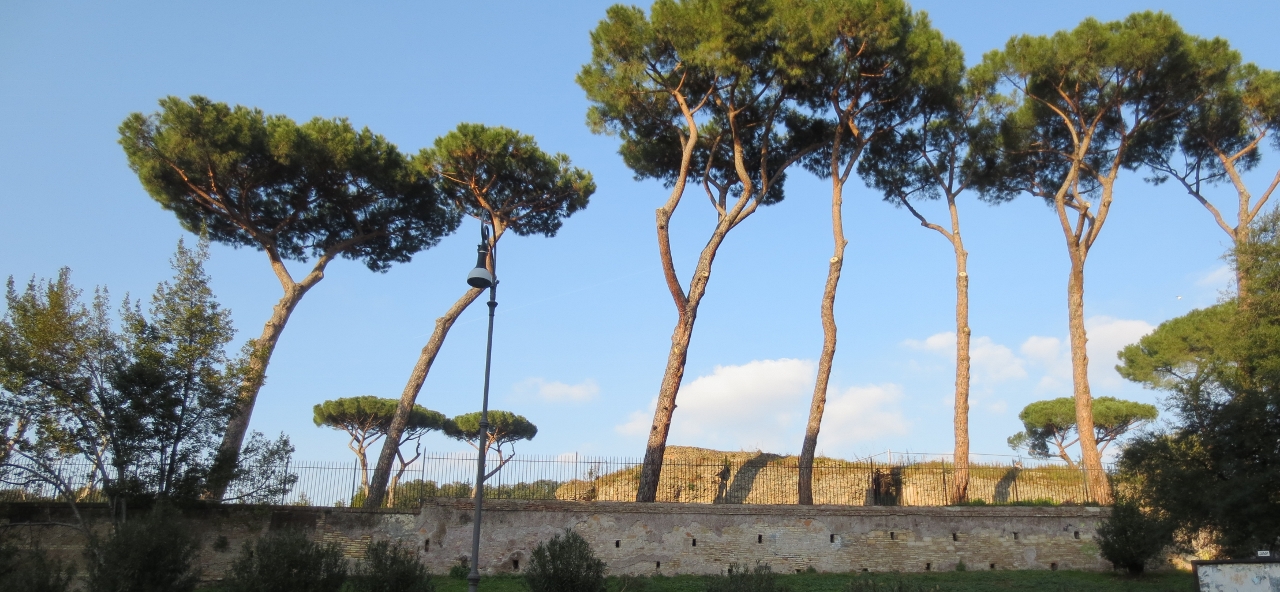 Lohses in Stavanger: Rome Day 1