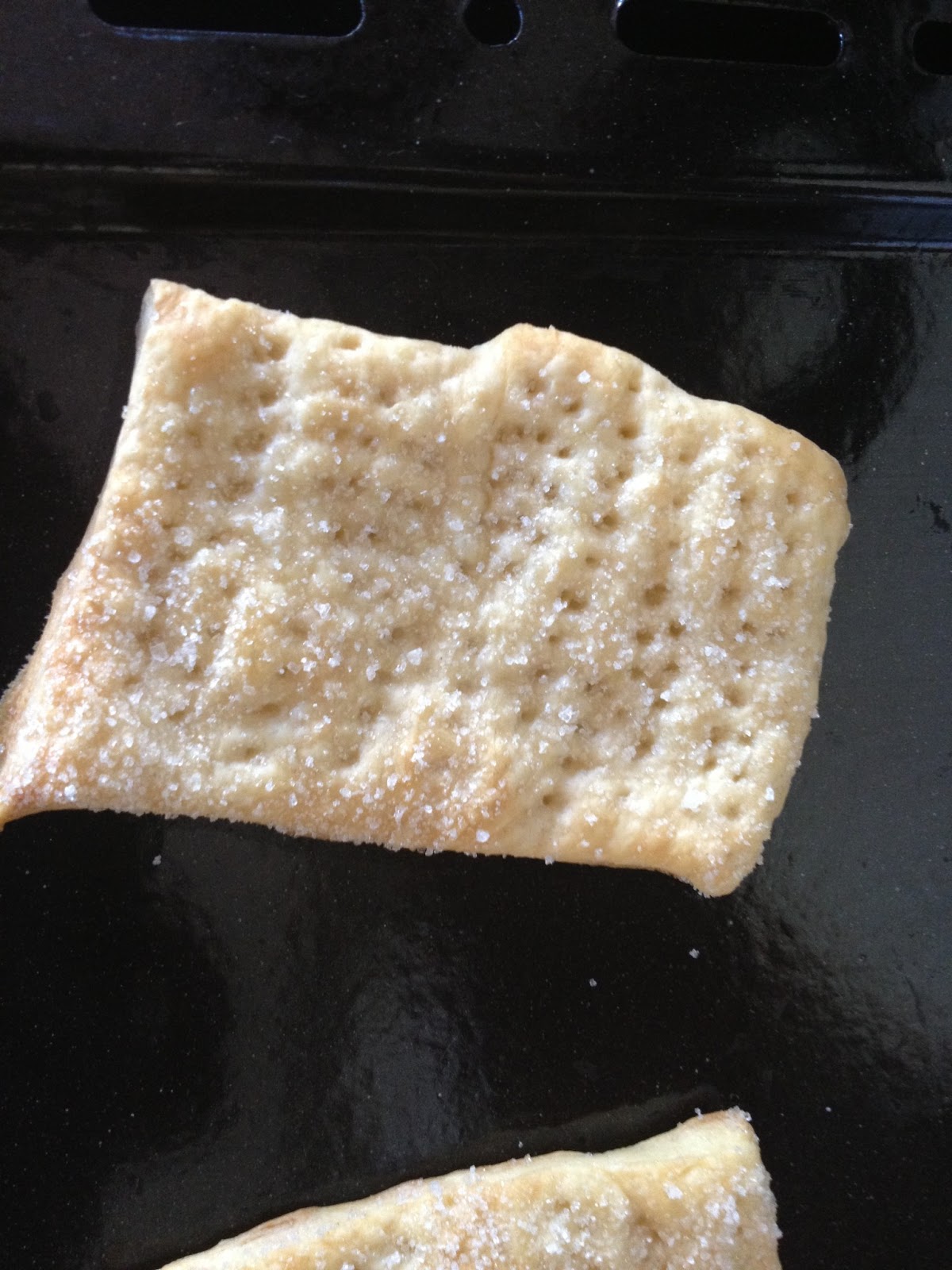 PARSHA DESSERT: Parshas Vayikra