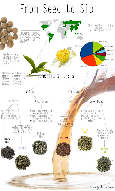 Beans and Bags: Fresh Brewed Blogging