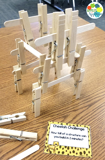 Apples to Applique: STEM Safari