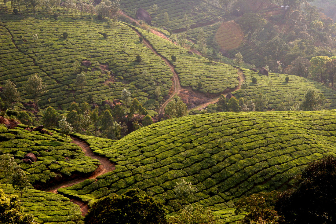 I Miss The Kingdom: Ilam