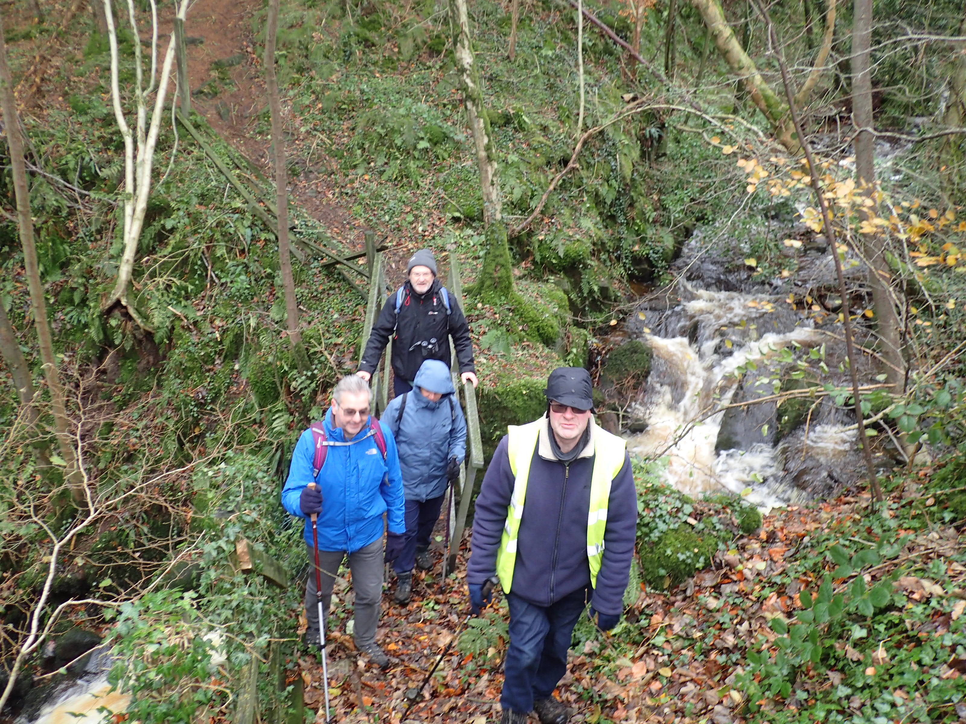 The Rainforest Fund Project: Rathmell -1 Dec 2021 Walk for the Climate ...