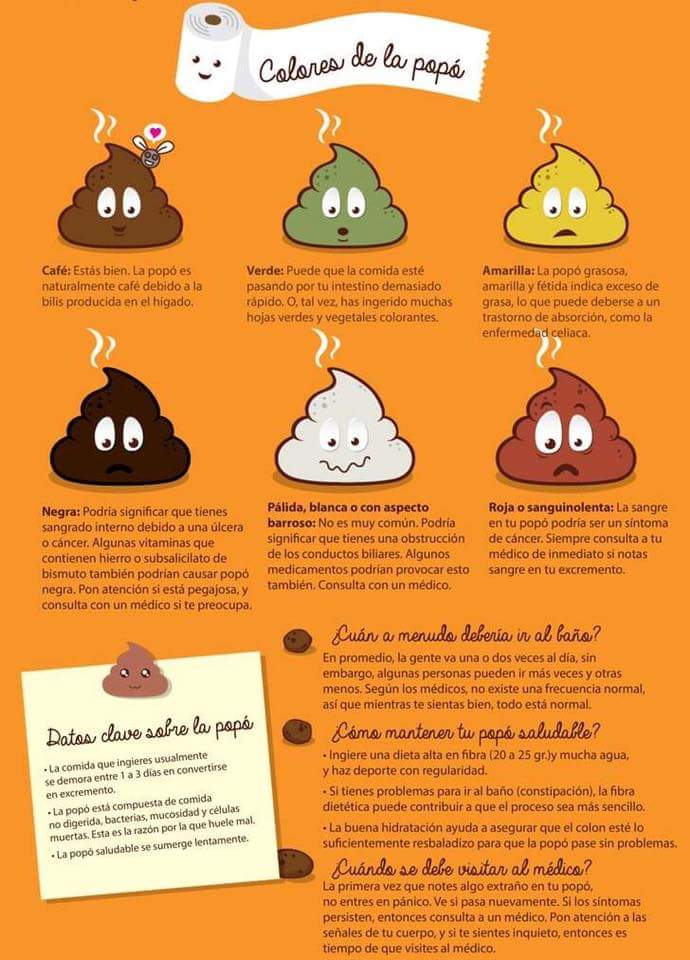 SocialNet MX: Colores del popó y su significado