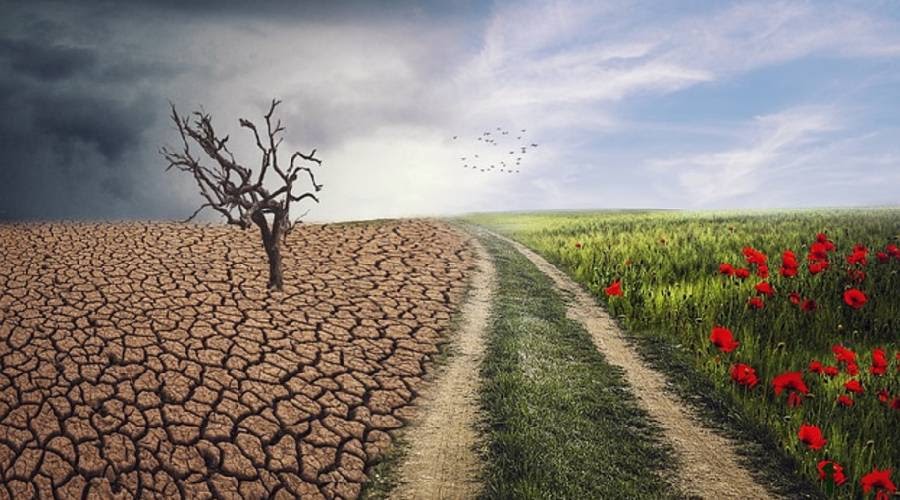 Best Ecosystem restoration slogans, quotes, messages, images posters ...