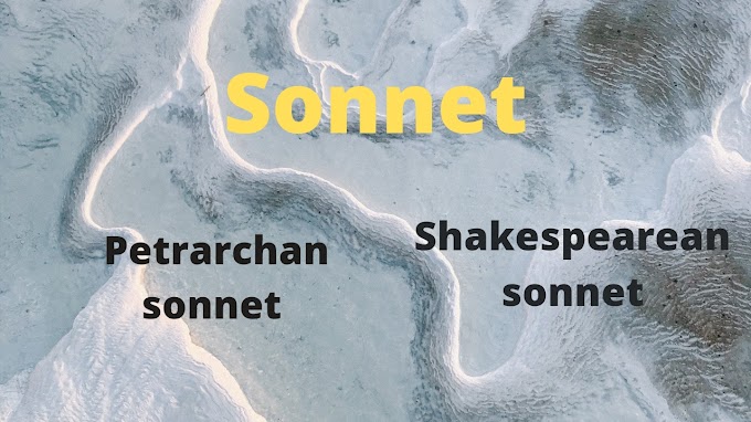 What is Sonnet explain the literary form with the types?/petrarchan ...