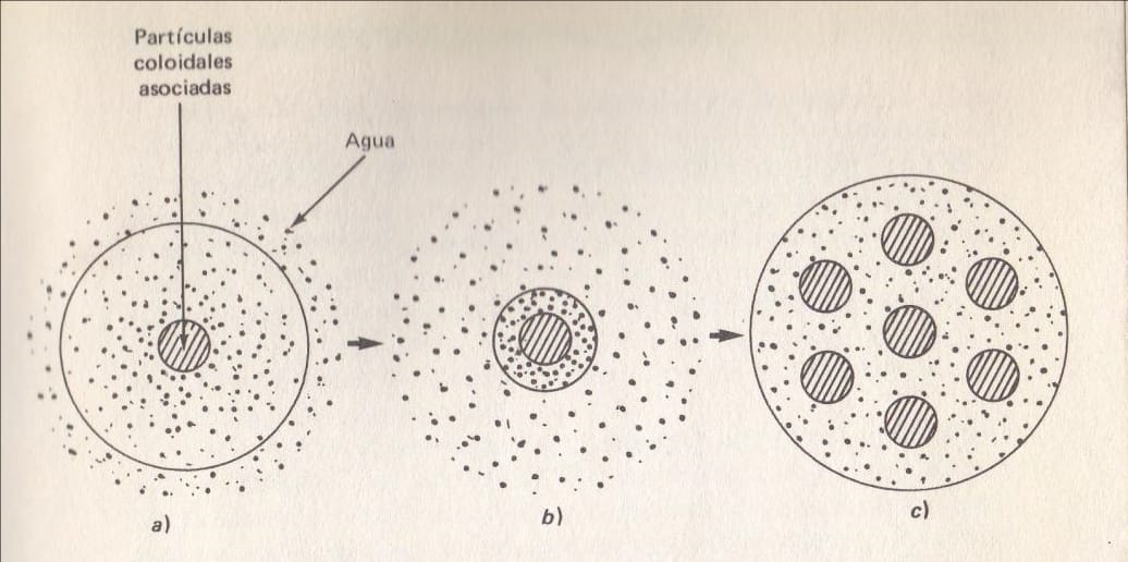 El origen de la vida