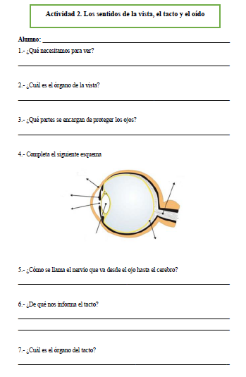Naturales 5º de Primaria: Actividad 2. Los sentidos de la vista, el ...