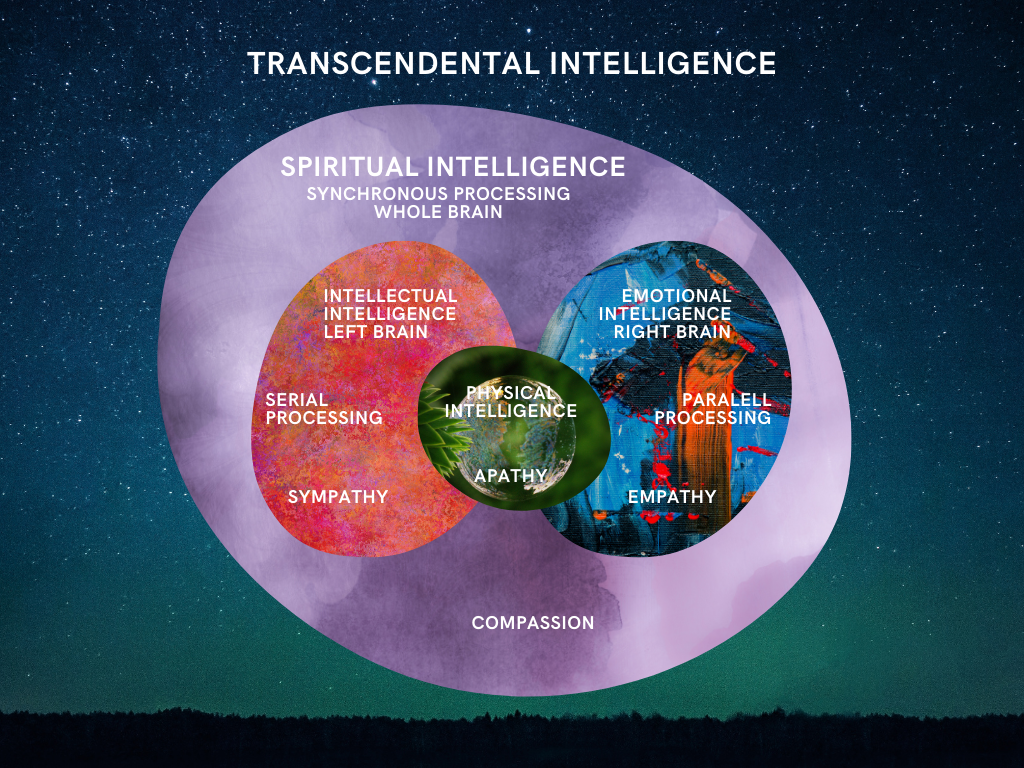 Series 8 - Spiritual Intelligence
