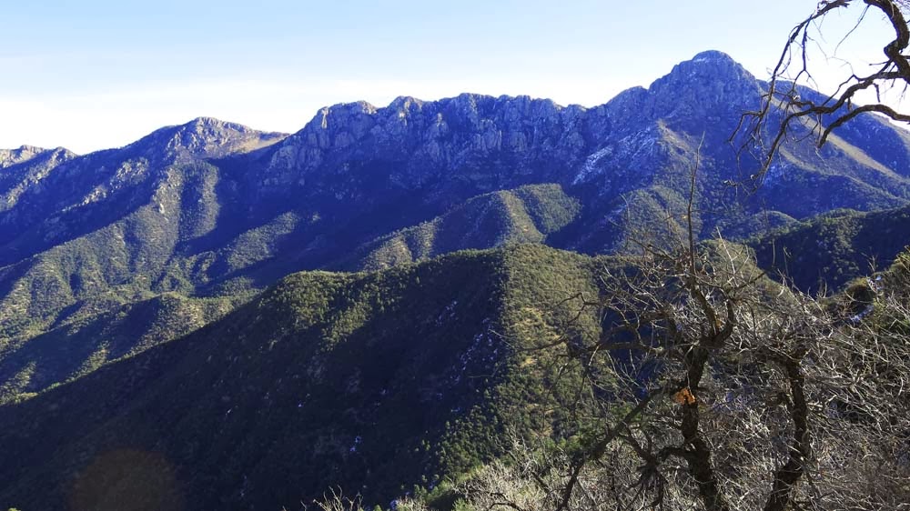 Birdernaturalist: The Other Madera Canyon Hike