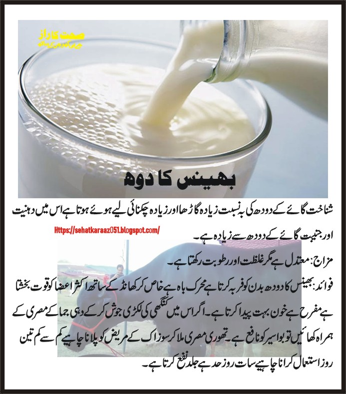 Bhains Doodh Buffalo Milk Benefits - SEHAT KA RAAZ