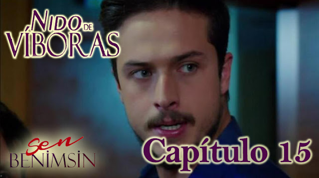 Nido de Víboras - Capítulo 15 - Nido de viboras