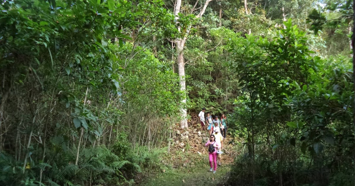 Free-Spirited Vixen ^_^: Dingayop Cave, Dalaguete Cebu