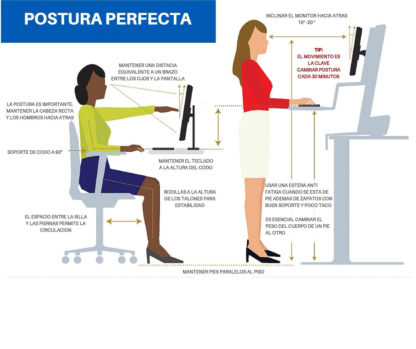 Postura correcta del cuerpo para trabajar frente a una computadora ...