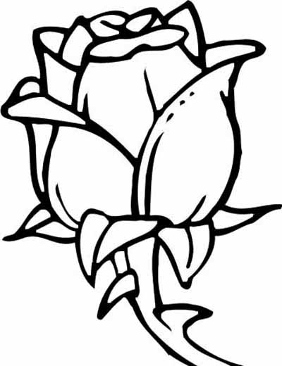 Chaconia Flower Colouring Pages Sketch Coloring Page
