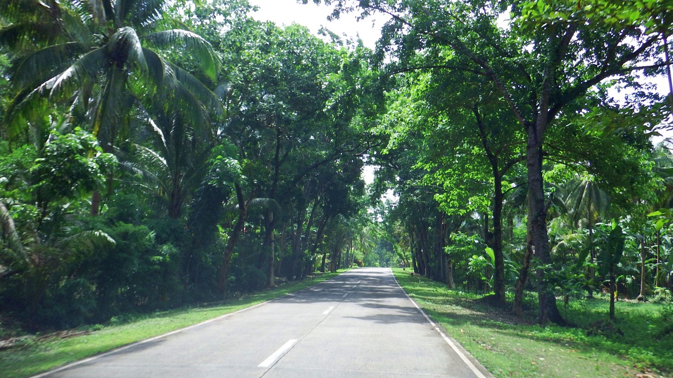 Macrohon Discoveries