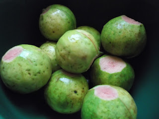 DESSERTS AROUND THE GLOBE: Guava Shells filled with Dulce de Leche ...