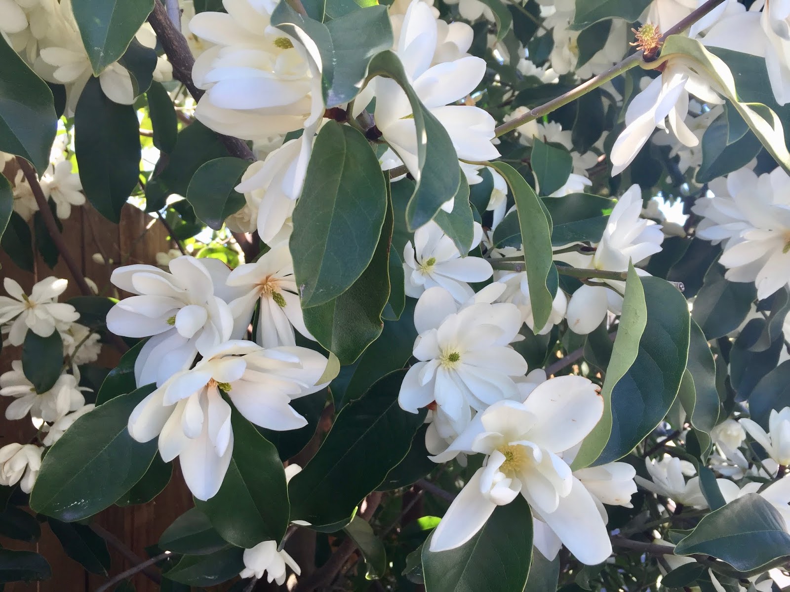 THE ROAD TAKEN : The Road to Motueka + Possum Man