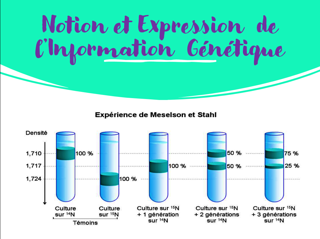 Notion et Expression de l’Information Génétique - SVT+