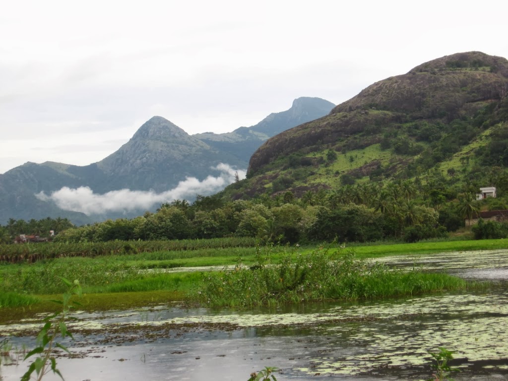 Tamilnadu Tourism: Vattapparai Falls, Boothapandi, Kanyakumari