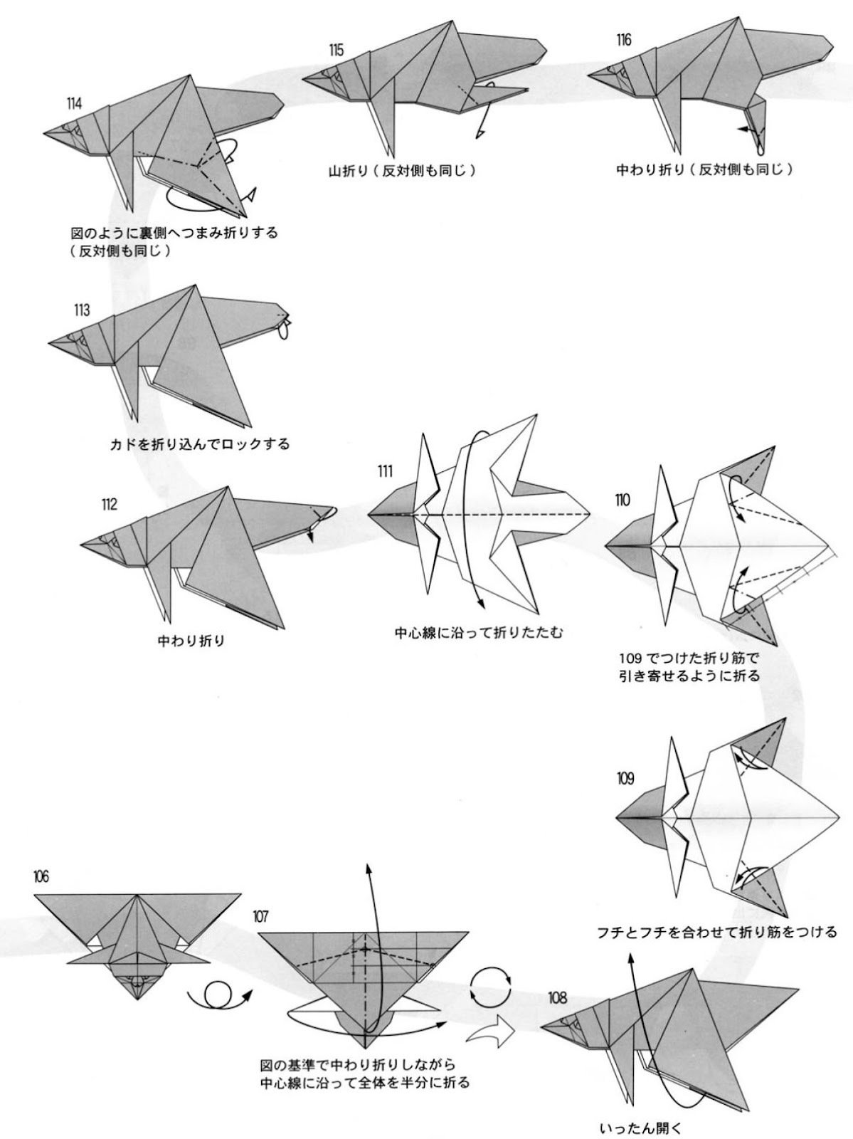 PAPIROFLEXIA PARA TOD@S: PERRO MAPACHE