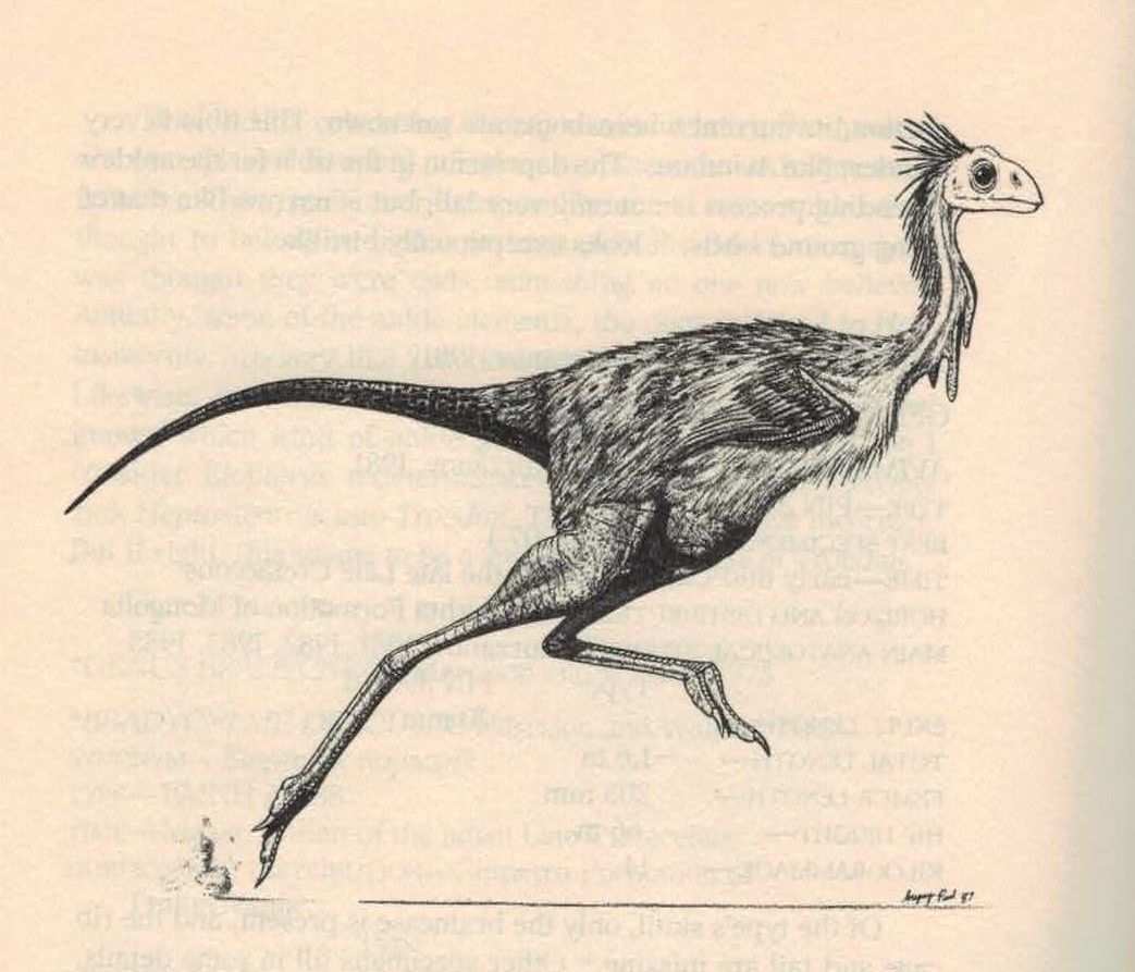 Manospondylus: Solved and Unsolved Fossil Enigmas - Part 2