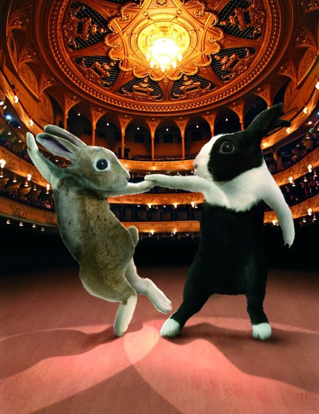 Dancing Bunnies | sawpedia
