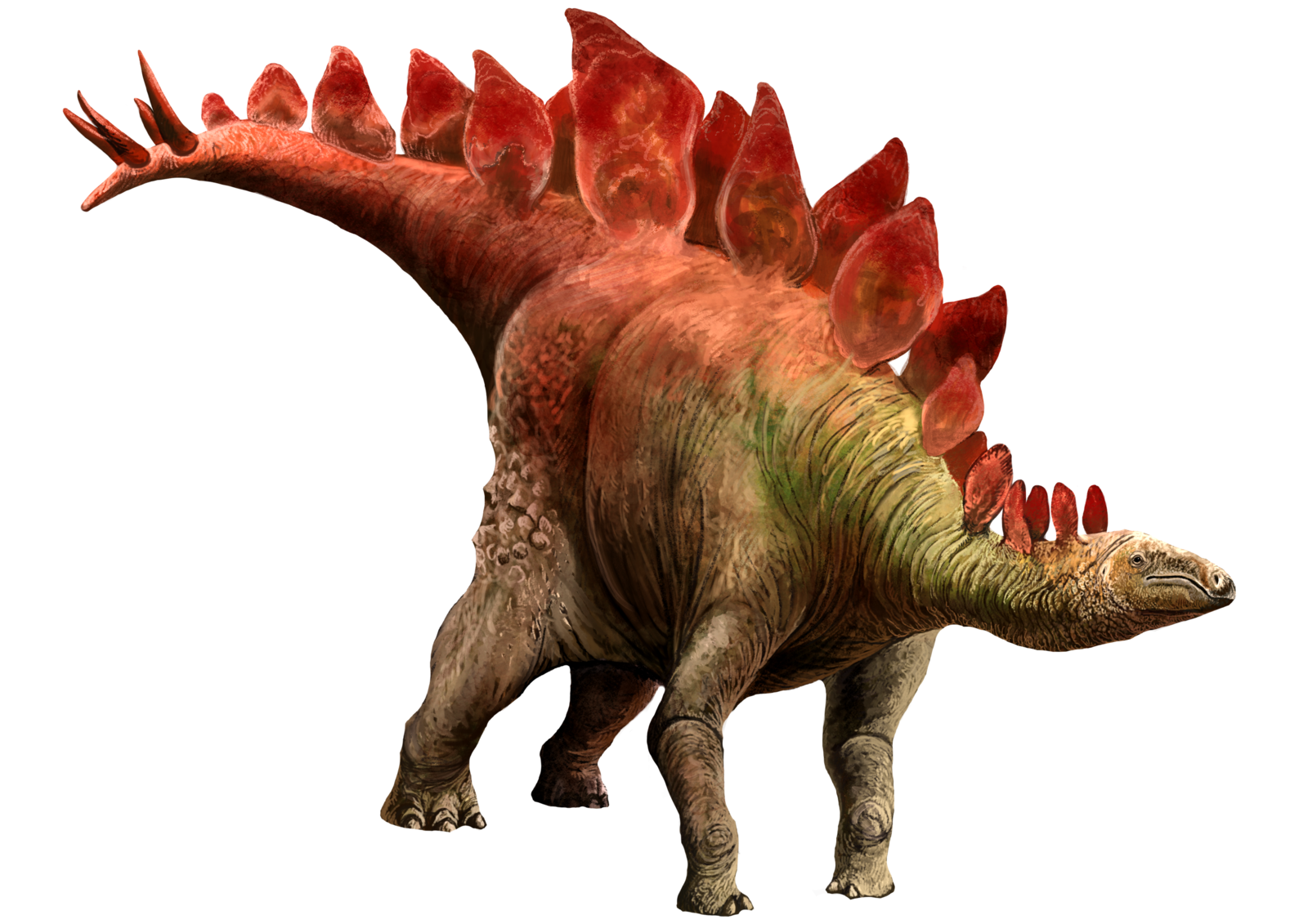 Skeptophilia: A new kind of thagomizer