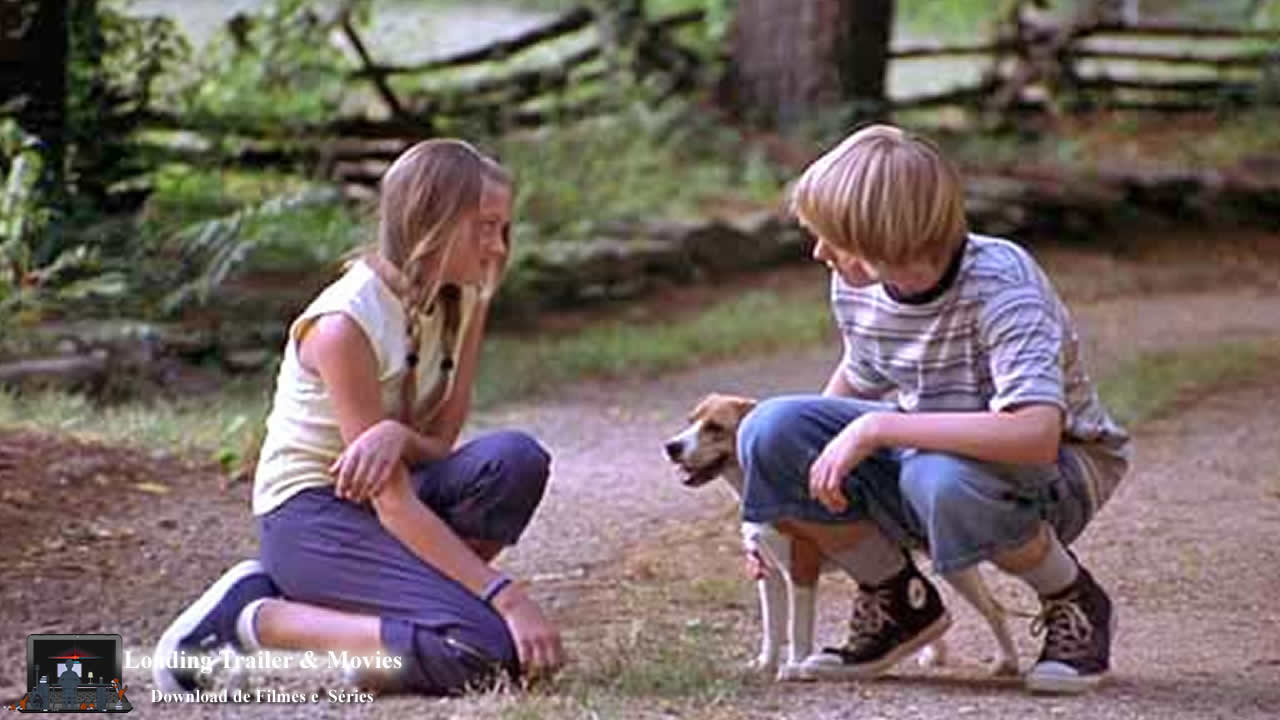 Shiloh O Melhor Amigo - 1996 - Loading Trailer Movies