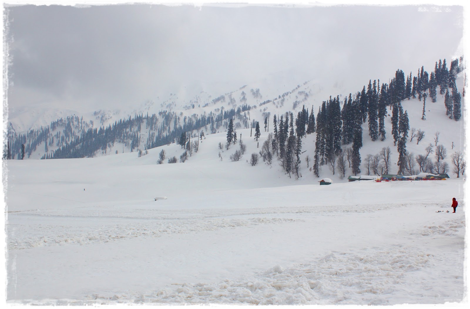 ~ LadyWA ~: More snowwww and snoww and snowww :)