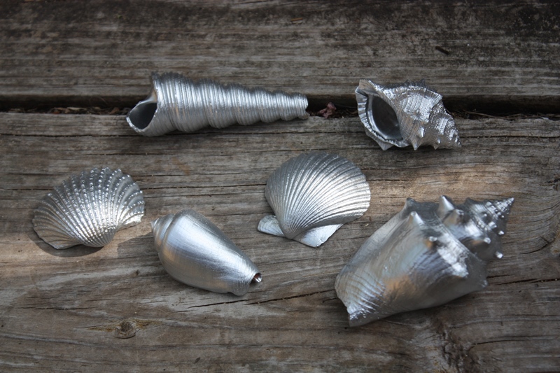 Christy Robbins: She Sells Silver Sea Shells...