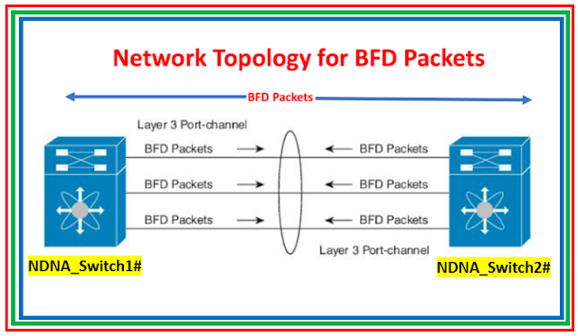 BGP Protocol: BFD C Bit Feature - The Network DNA