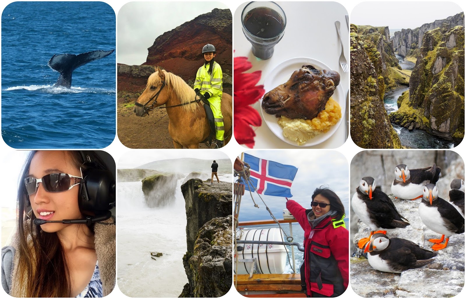 Miss HappyFeet: A Quick Guide to Iceland (19 Things You Need To Know ...