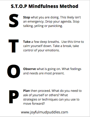 S.T.O.P. Mindfulness Method for Self-Regulation